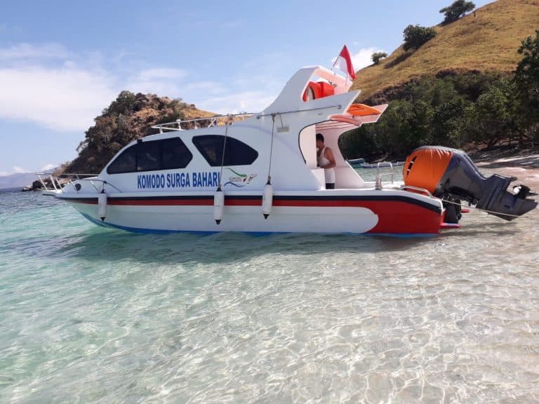 Sewa Speed Boat Labuan Bajo - Sailing Komodo